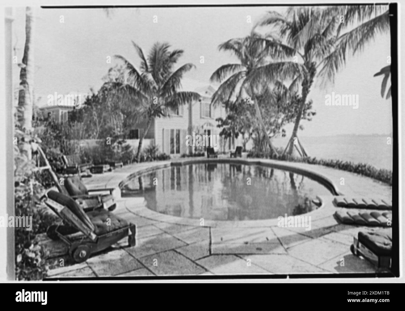 Palm reflected Black and White Stock Photos & Images - Alamy