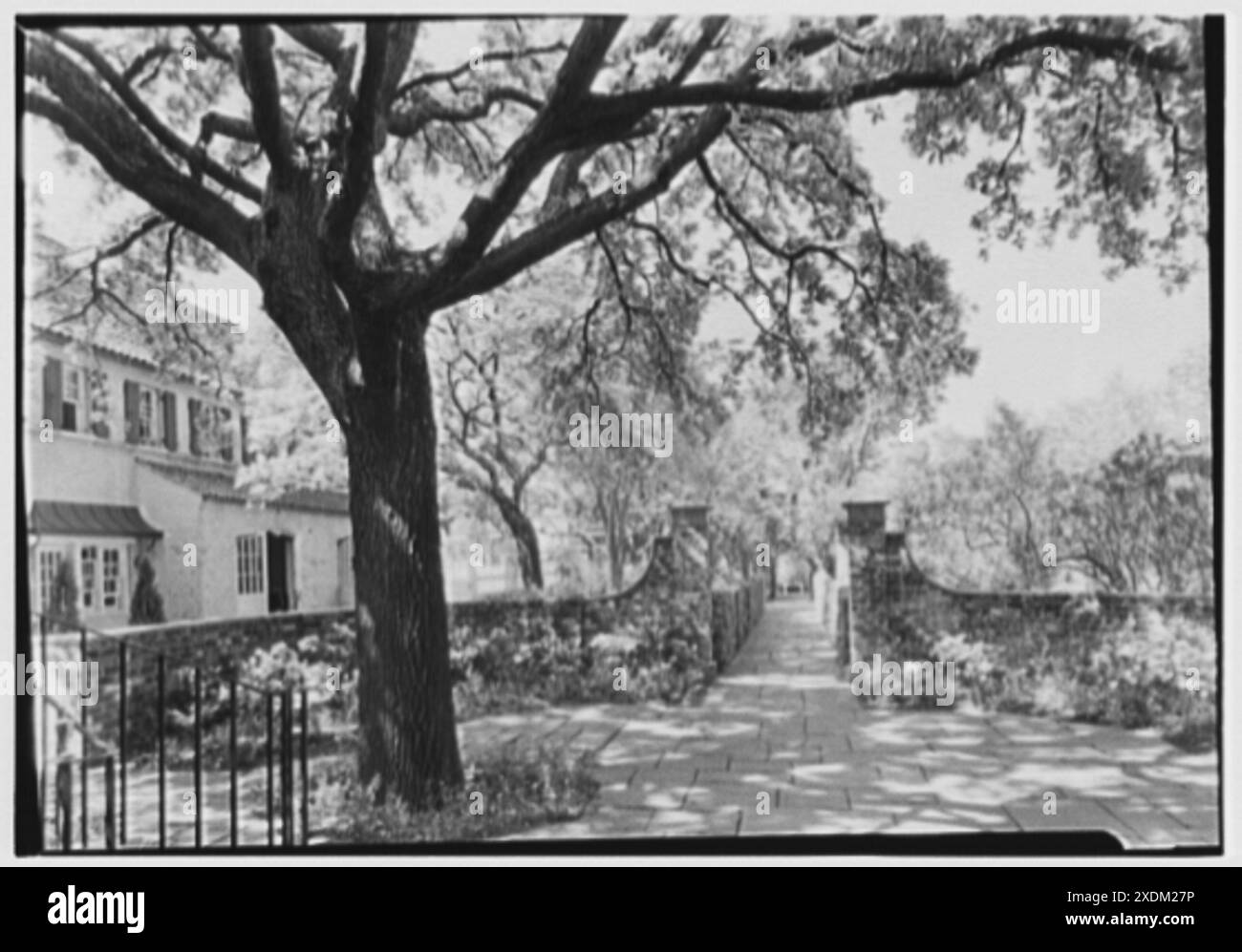 Mrs. Washington A. Roebling, residence at 64 S. Battery, Charleston ...