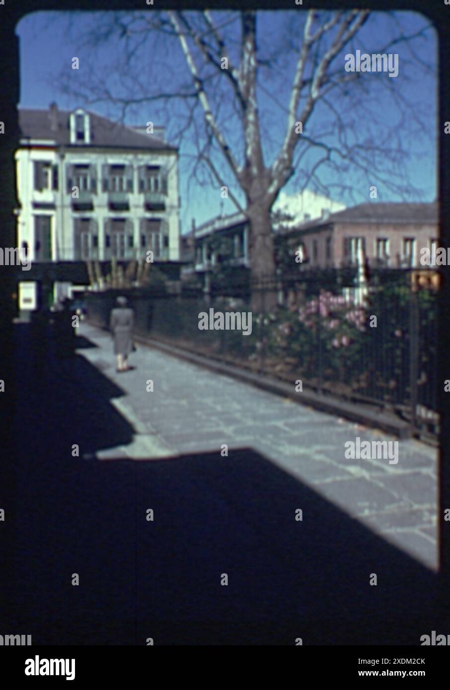 New Orleans views. Pirate's Alley, with St. Anthony's Garden on the ...