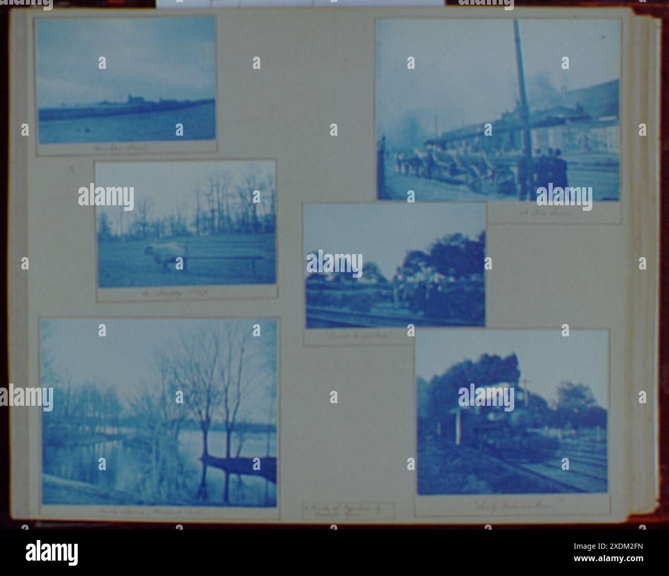 Early years, snapshots, 1896-1898. Six prints of negatives by Michael ...