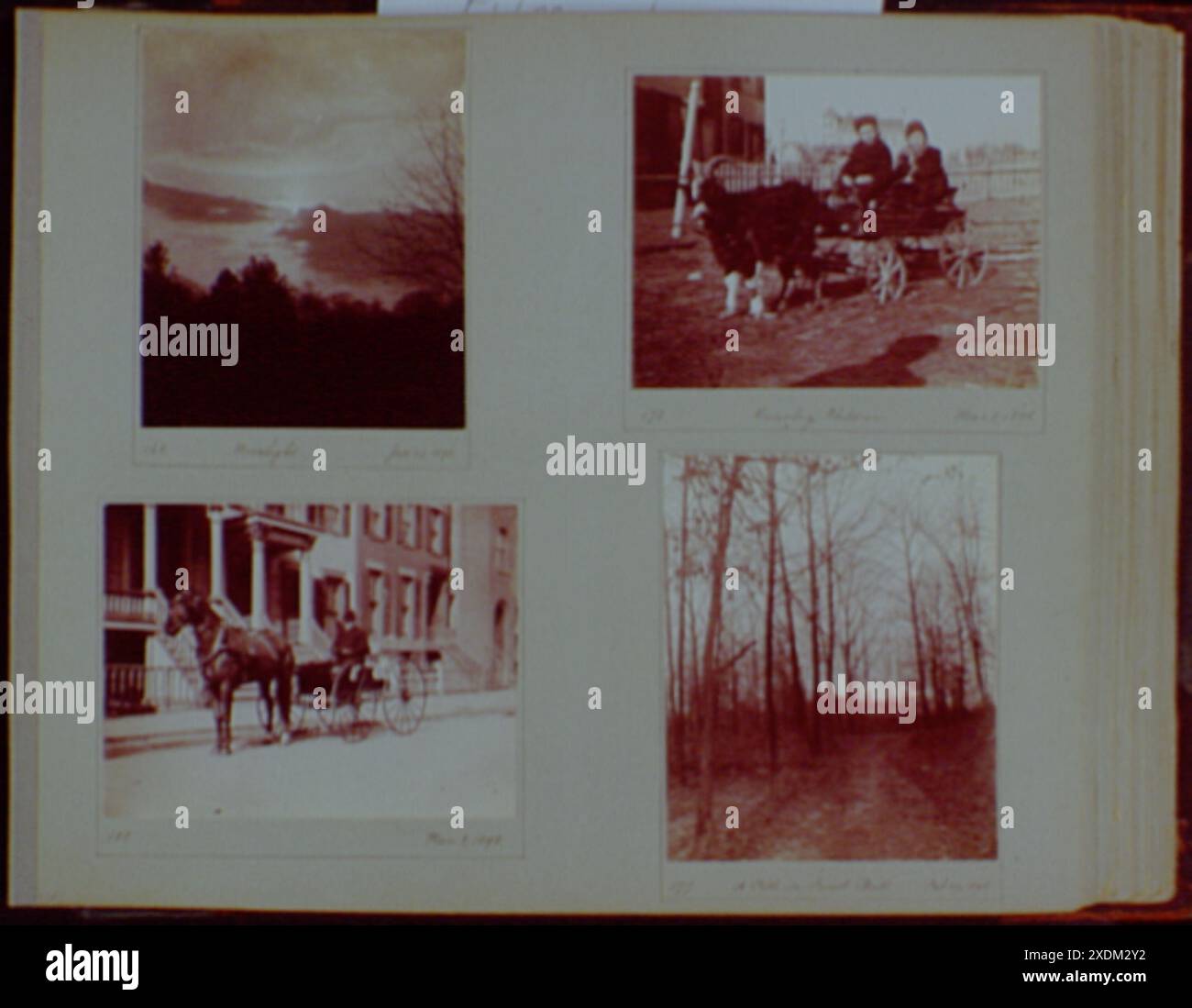 Early years, snapshots, 1896-1898. Portraits and landscapes , Portraits and landscapes ...