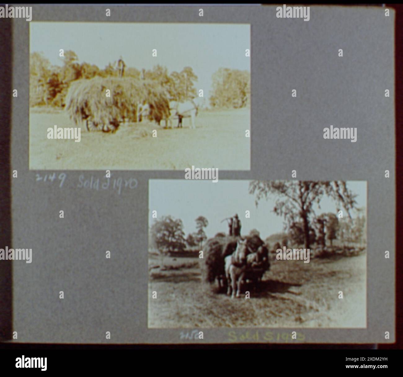 Reference prints, 1919-1920, numbers 2133-2377. Men loading hay on ...