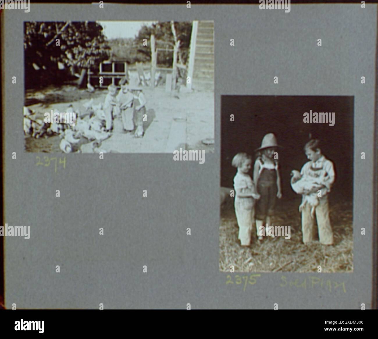 Reference prints, 1919-1920, numbers 2133-2377. Doris Gottscho, boy and ...