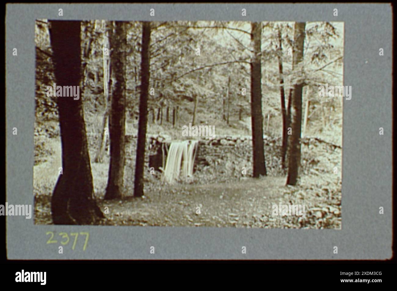 Reference prints, 1919-1920, numbers 2133-2377. Waterfall over rock dam ...