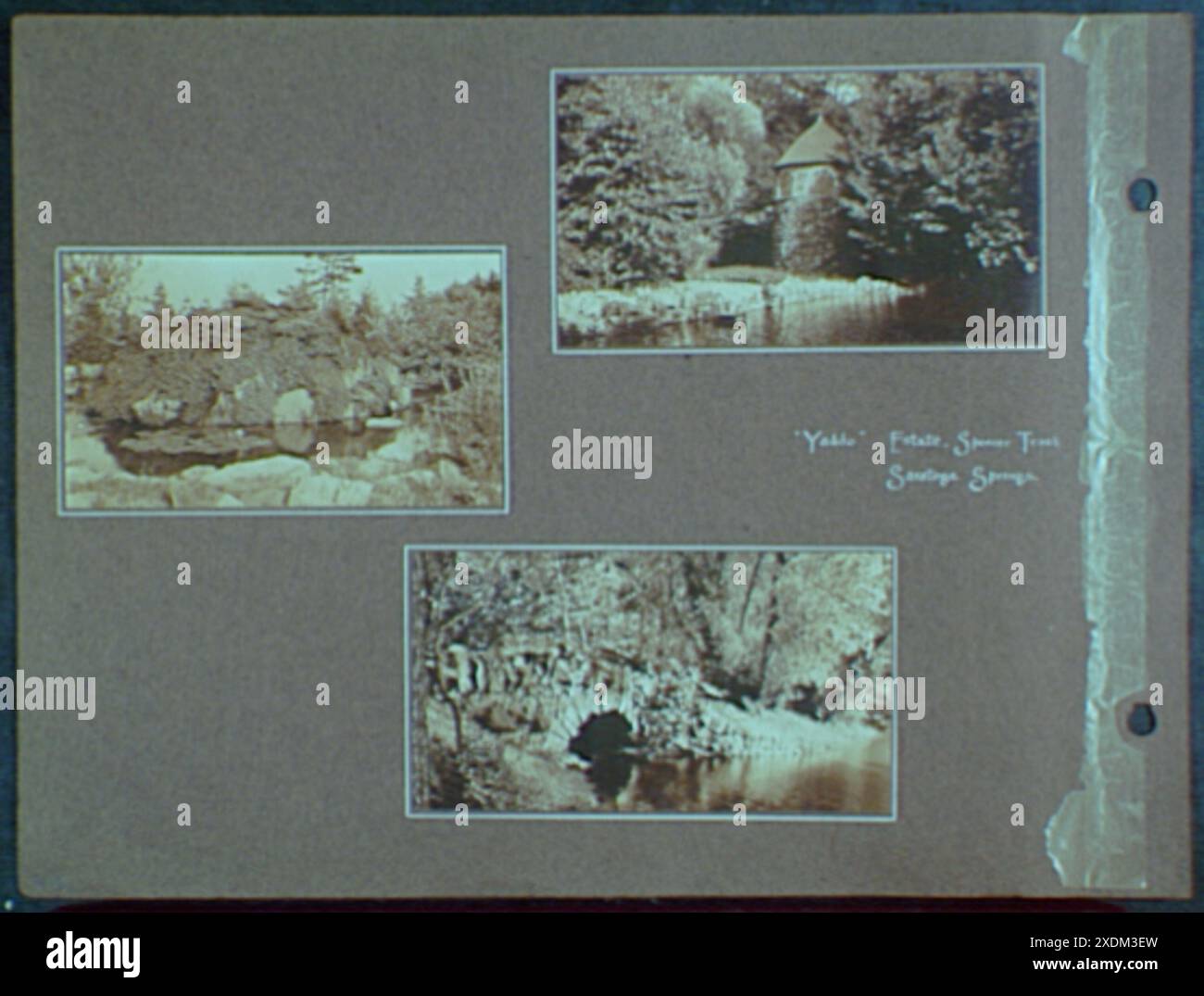 Early years, with images of family, self portraits, landscapes and ...