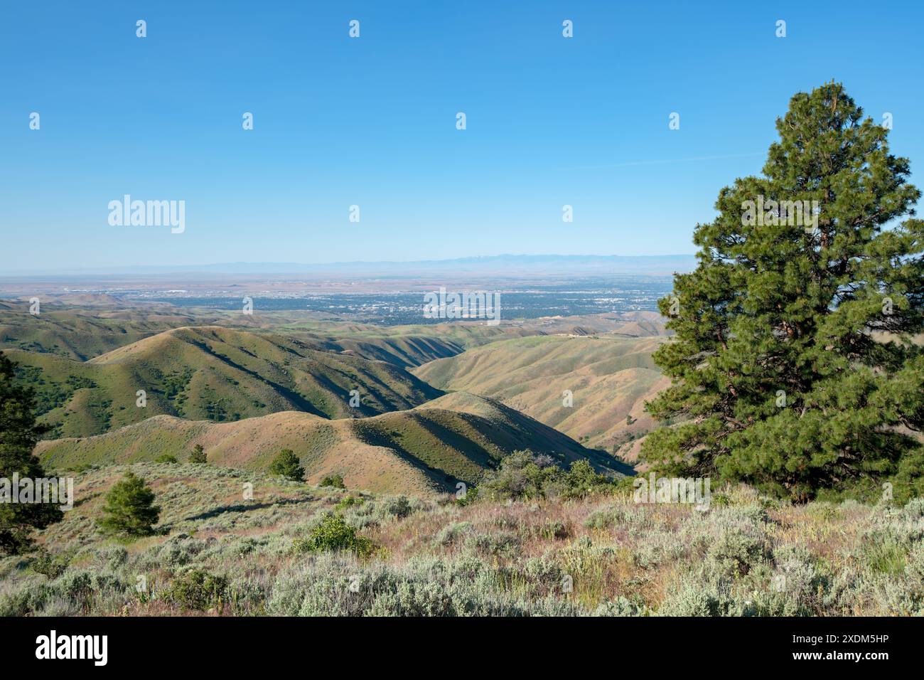 Boise national forest idaho hi-res stock photography and images - Alamy