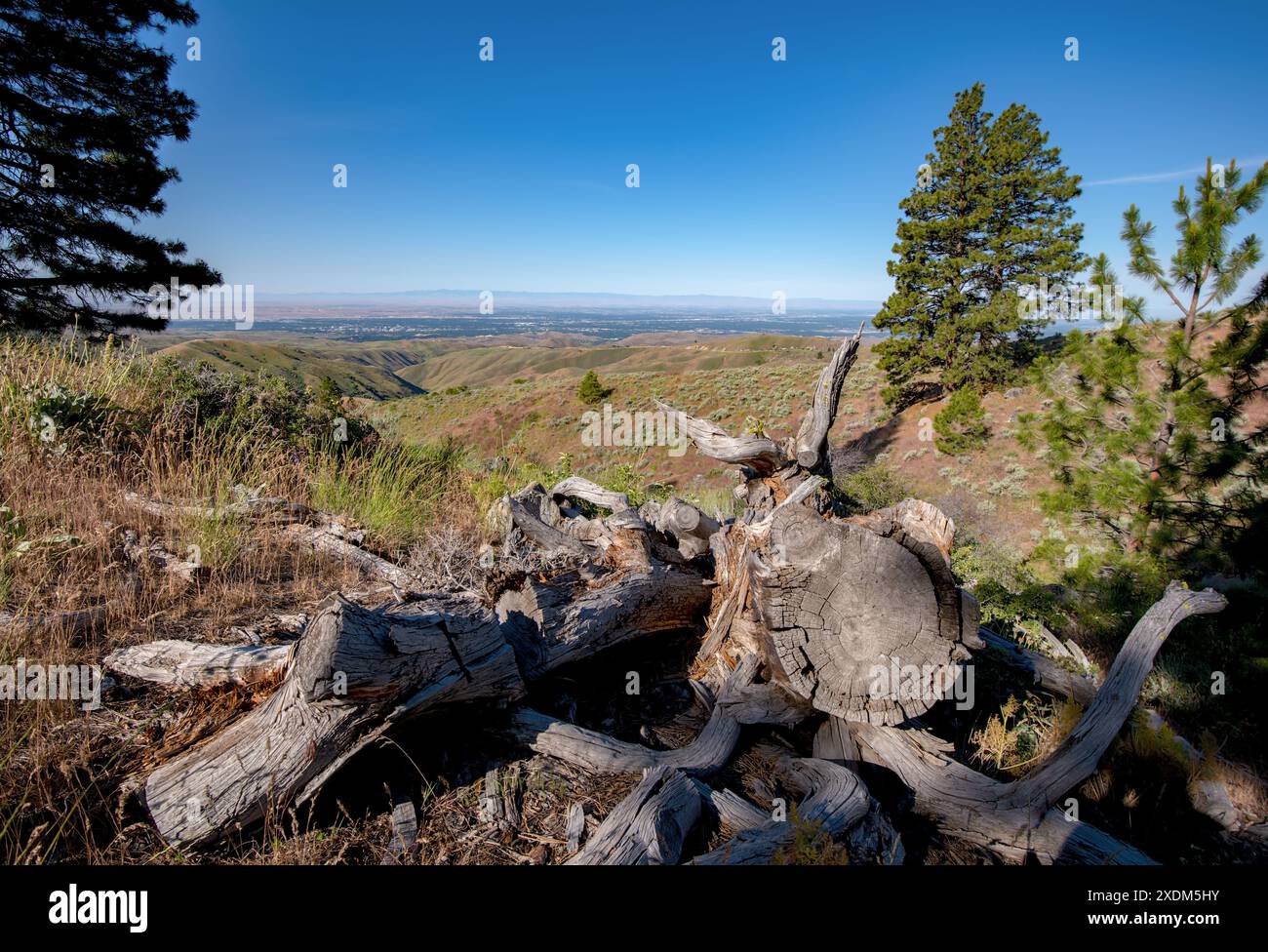 View of Boise Idaho from Boise National Forest Stock Photo - Alamy