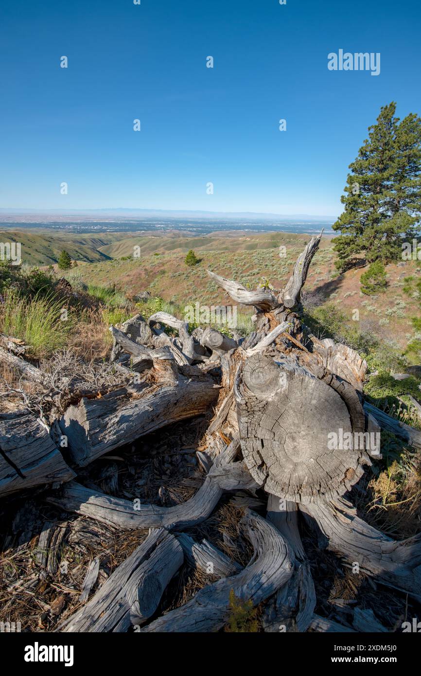 Best nature photos in boise hi-res stock photography and images - Alamy
