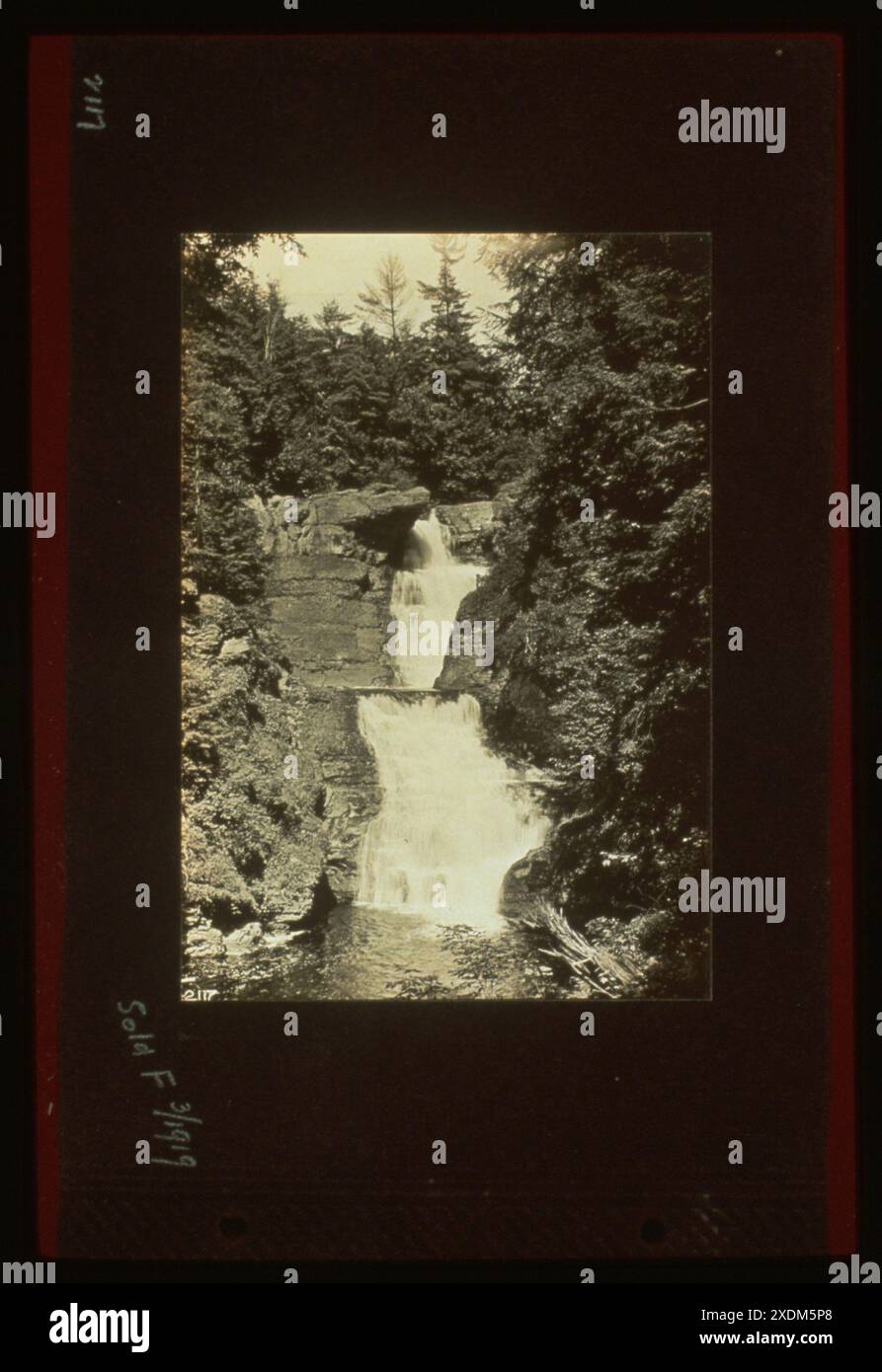 1917-1918, reference prints from negatives. Waterfall VII, vertical ...