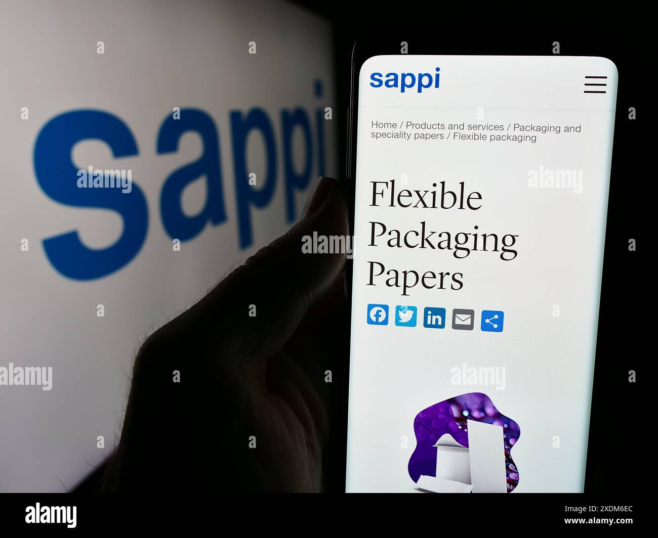 Person holding smartphone with webpage of South African pulp and paper ...