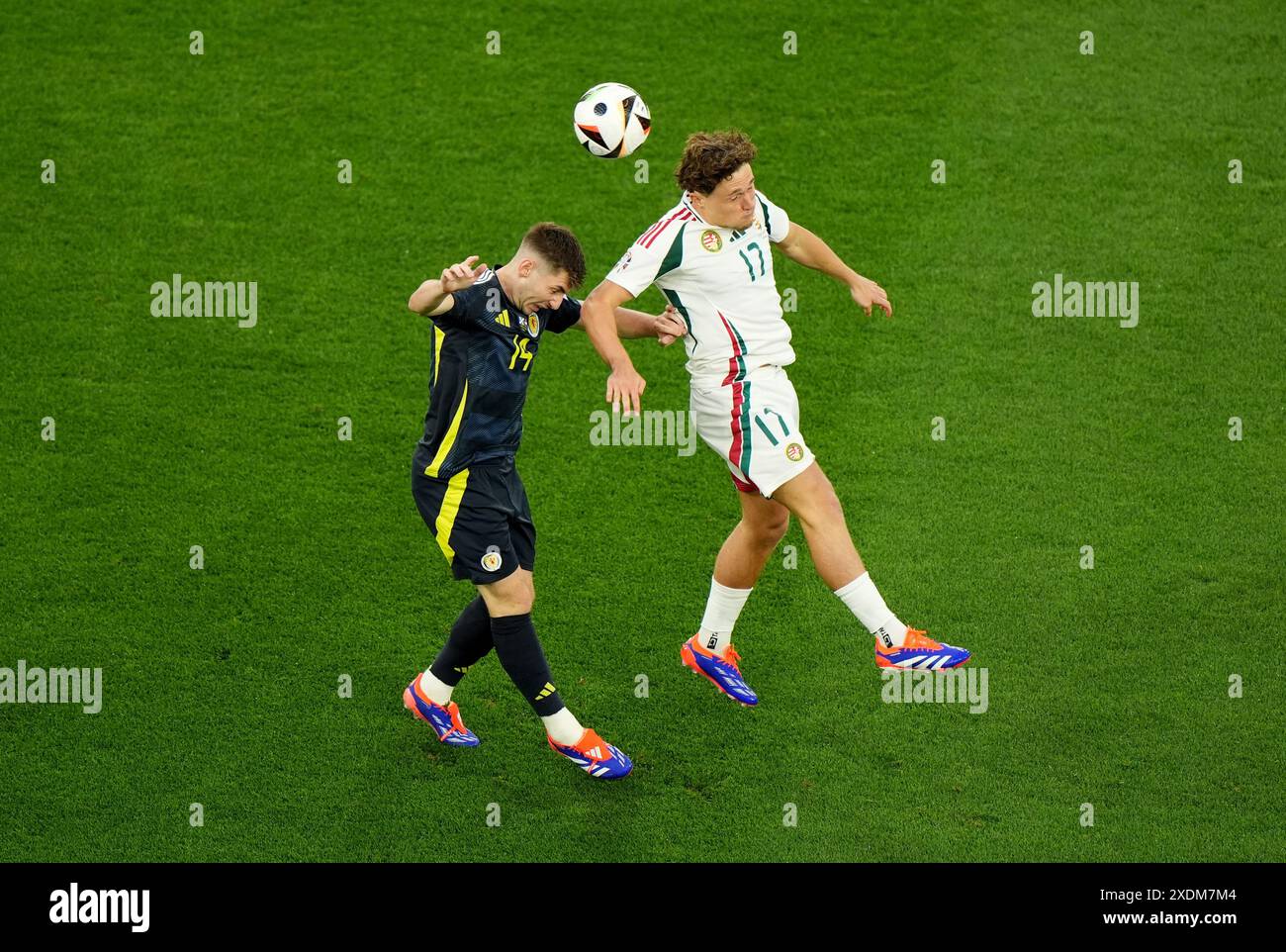 Scotland's Billy Gilmour (left) and Hungary's Callum Styles battle for ...