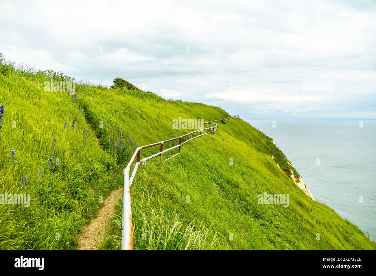 Welcome England - Welcome to the beautiful countryside near Folkestone ...