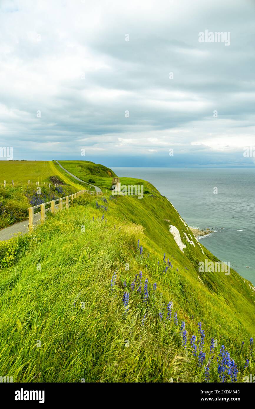 Welcome England - Welcome to the beautiful countryside near Folkestone ...