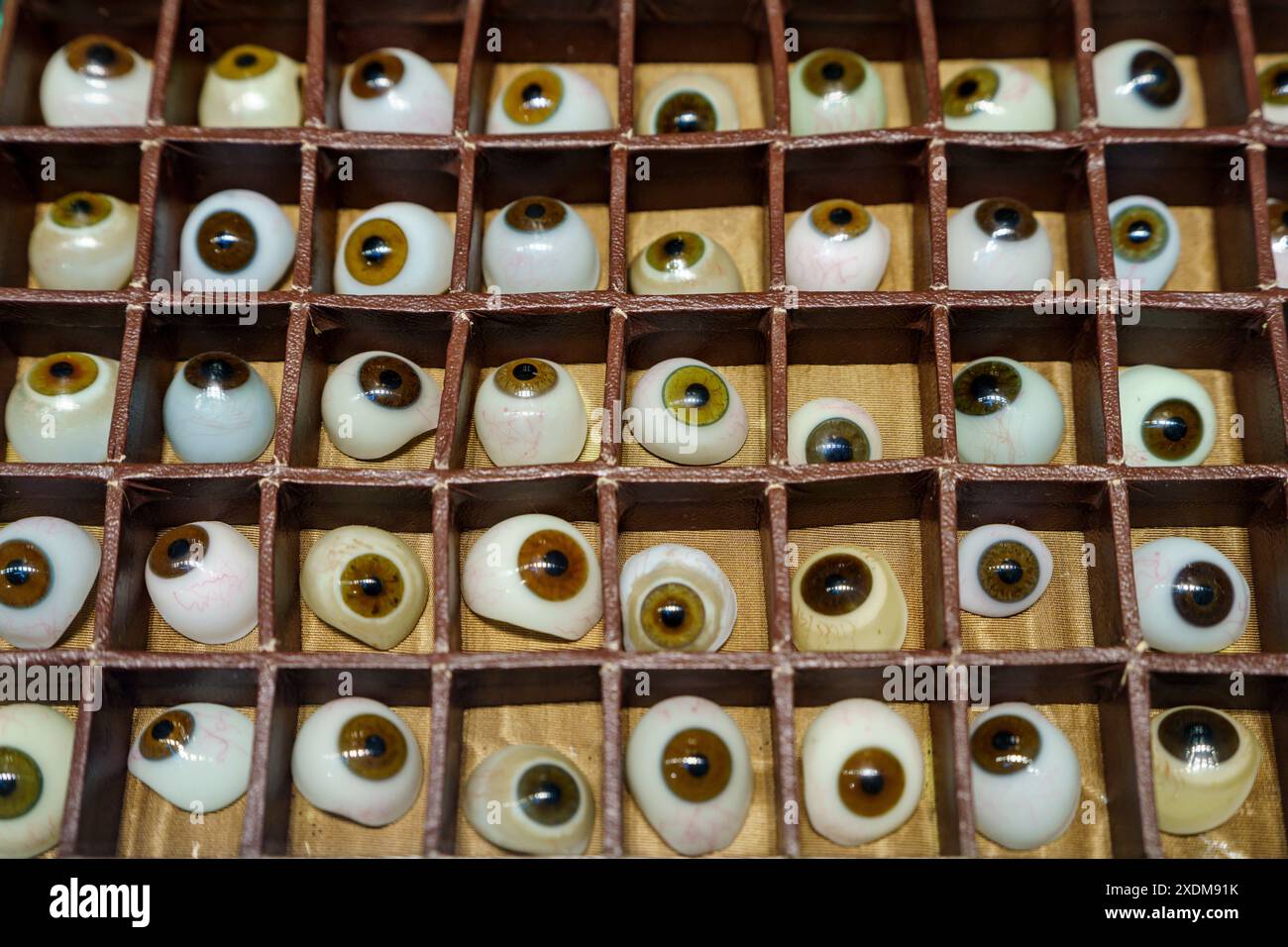 painted plastic ocular prostheses, 20th century, Sa Bassa Blanca Museum ...