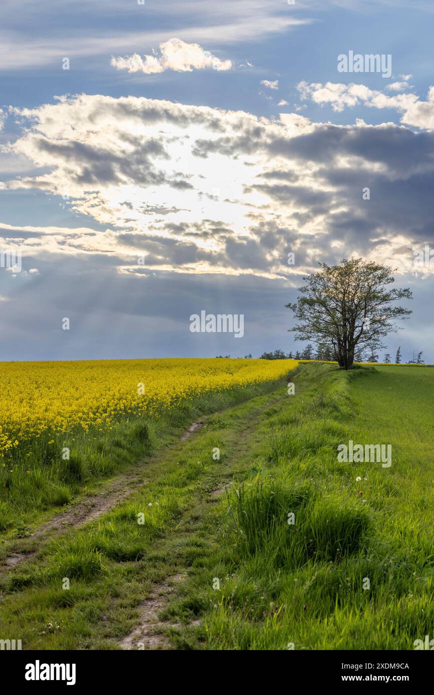Broumov basin hi-res stock photography and images - Alamy