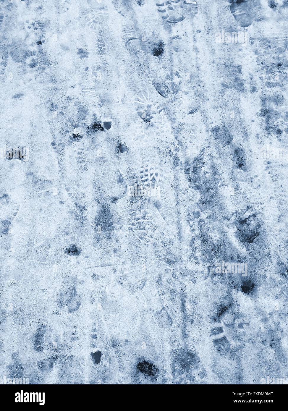 Natural snow texture with footprints Stock Photo - Alamy