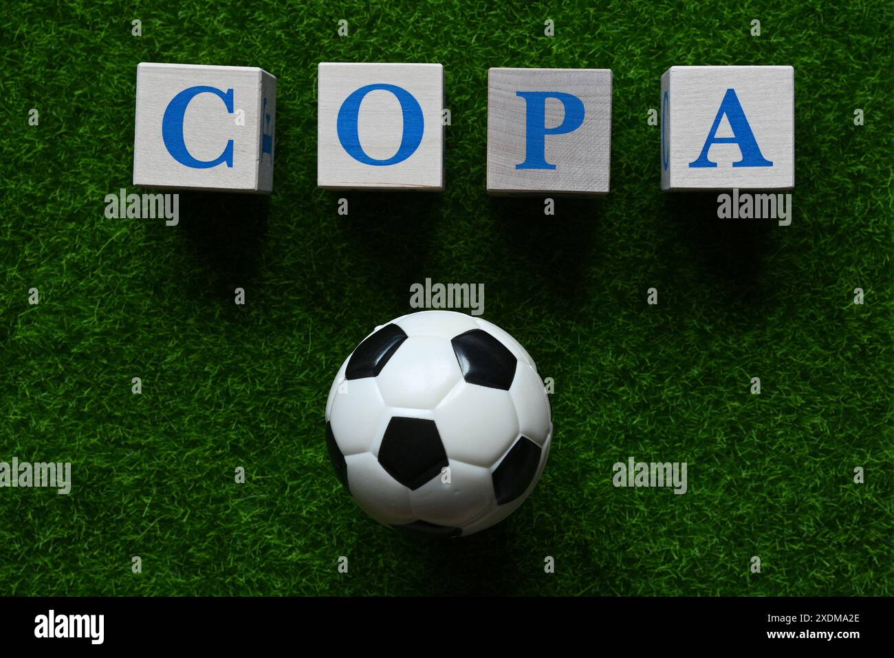 June 18, 2024, Miami, USA. A soccer ball on a green lawn. Copa America ...