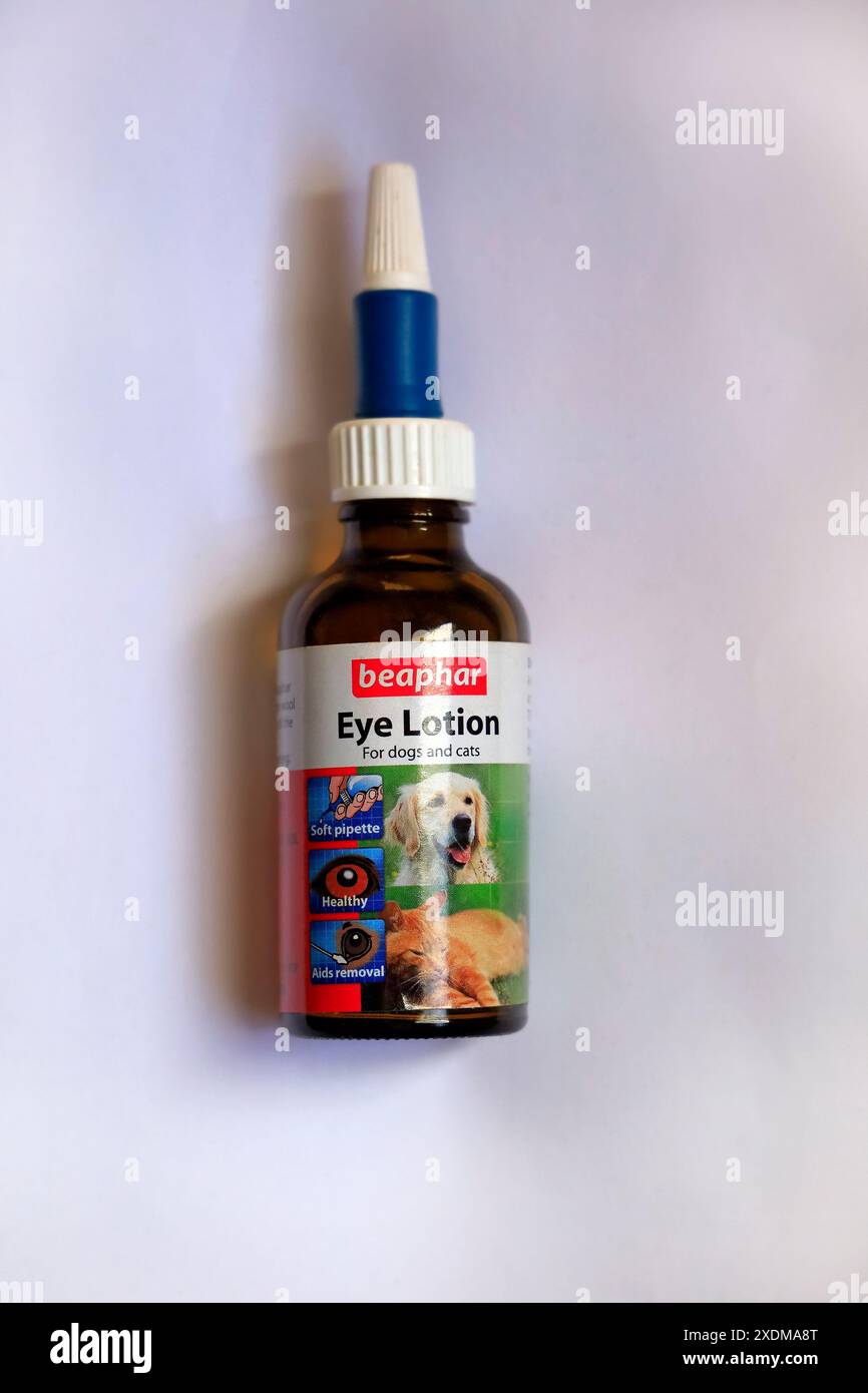 Eye Lotion for cats & dogs. Pet care eye drops Stock Photo - Alamy