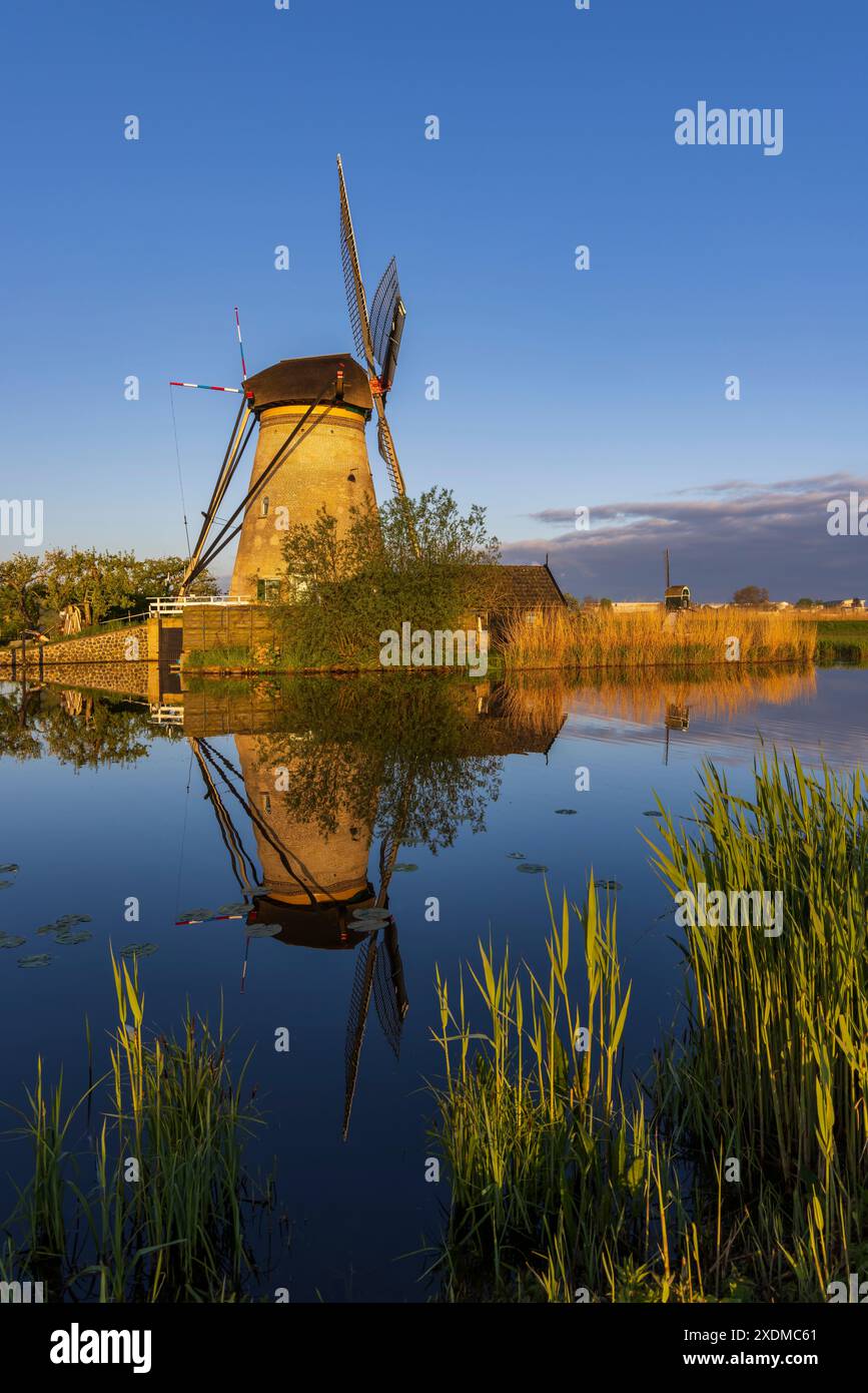 Traditional Dutch windmills in Kinderdijk - Unesco site, The ...
