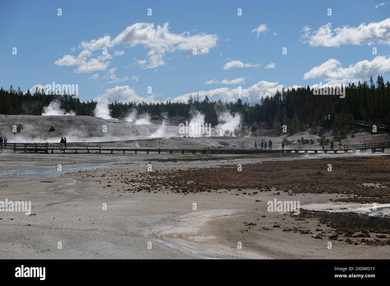 Yellowstone National Park Geysers boardwalk Stock Photo - Alamy