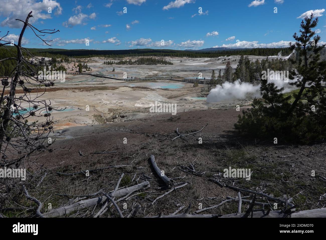 Yellowstone National Park Geysers boardwalk Stock Photo - Alamy
