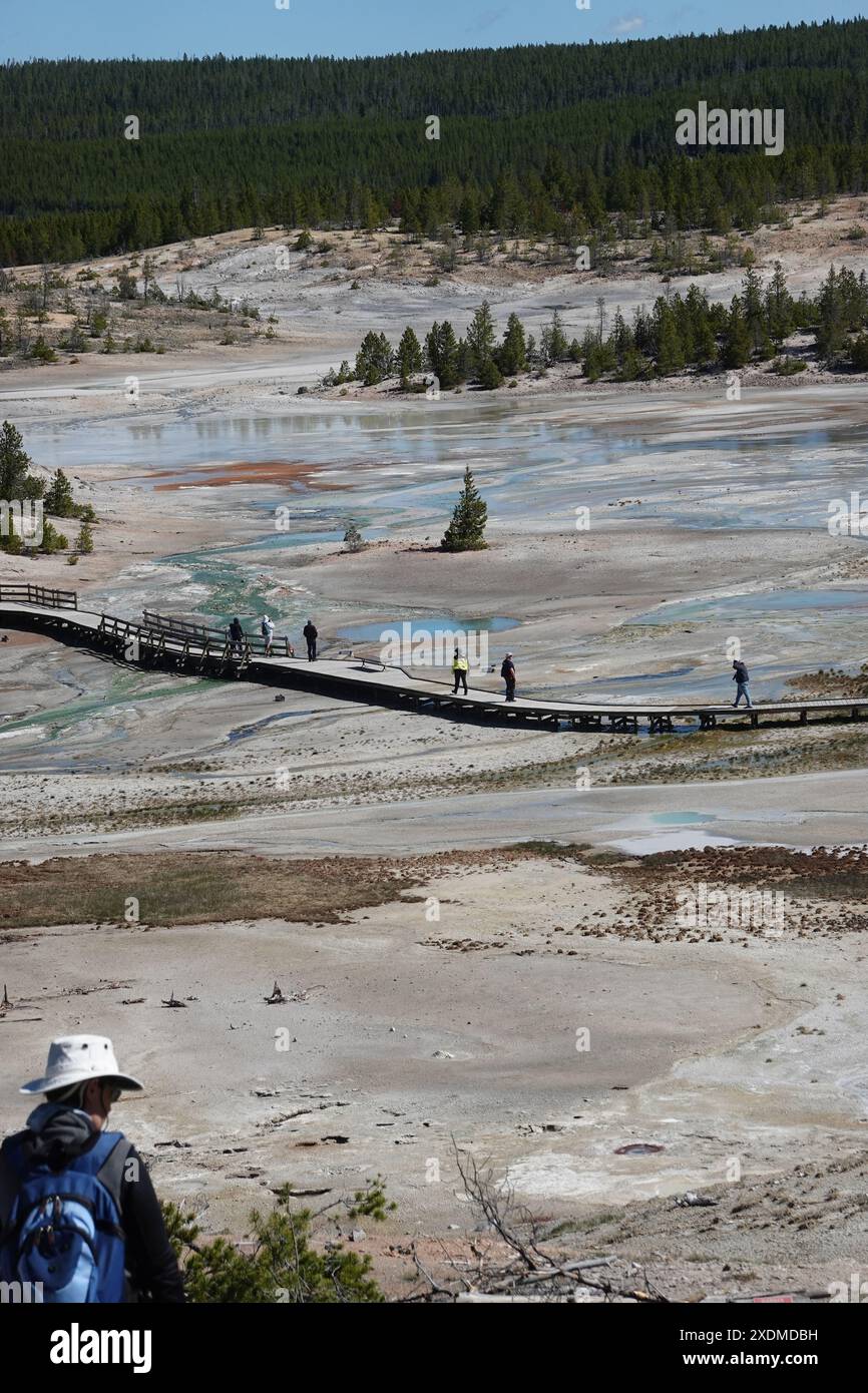 Yellowstone National Park Geysers boardwalk Stock Photo - Alamy