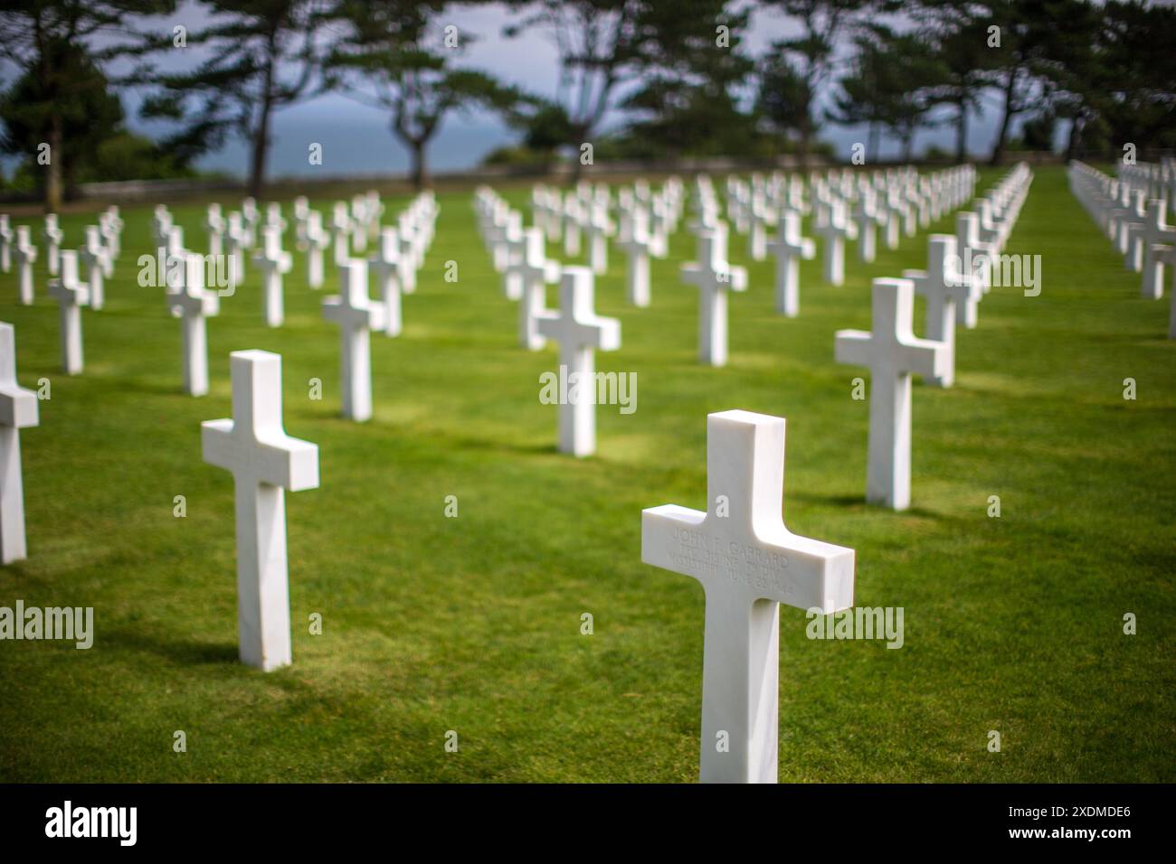 Rows of white crosses at the American military cemetery in Normandy ...