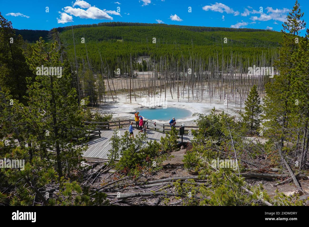 Cistern hot springs in the Norris Geyser Basin,Yellowstone national ...