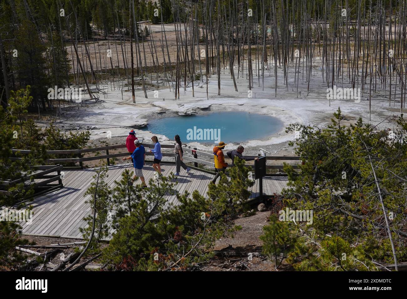 Cistern hot springs in the Norris Geyser Basin,Yellowstone national ...