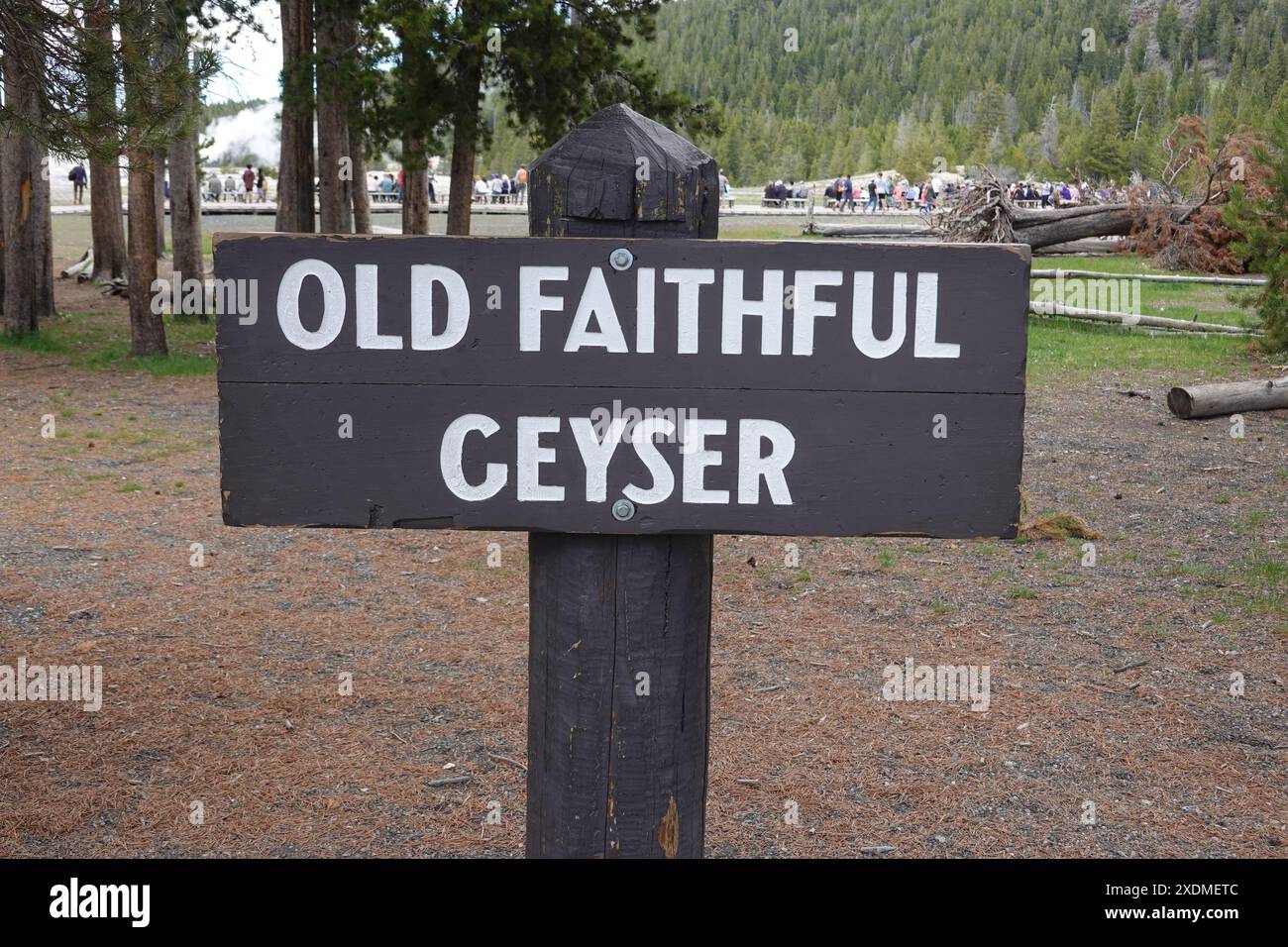 Old faithful geyser sign yellowstone hi-res stock photography and ...
