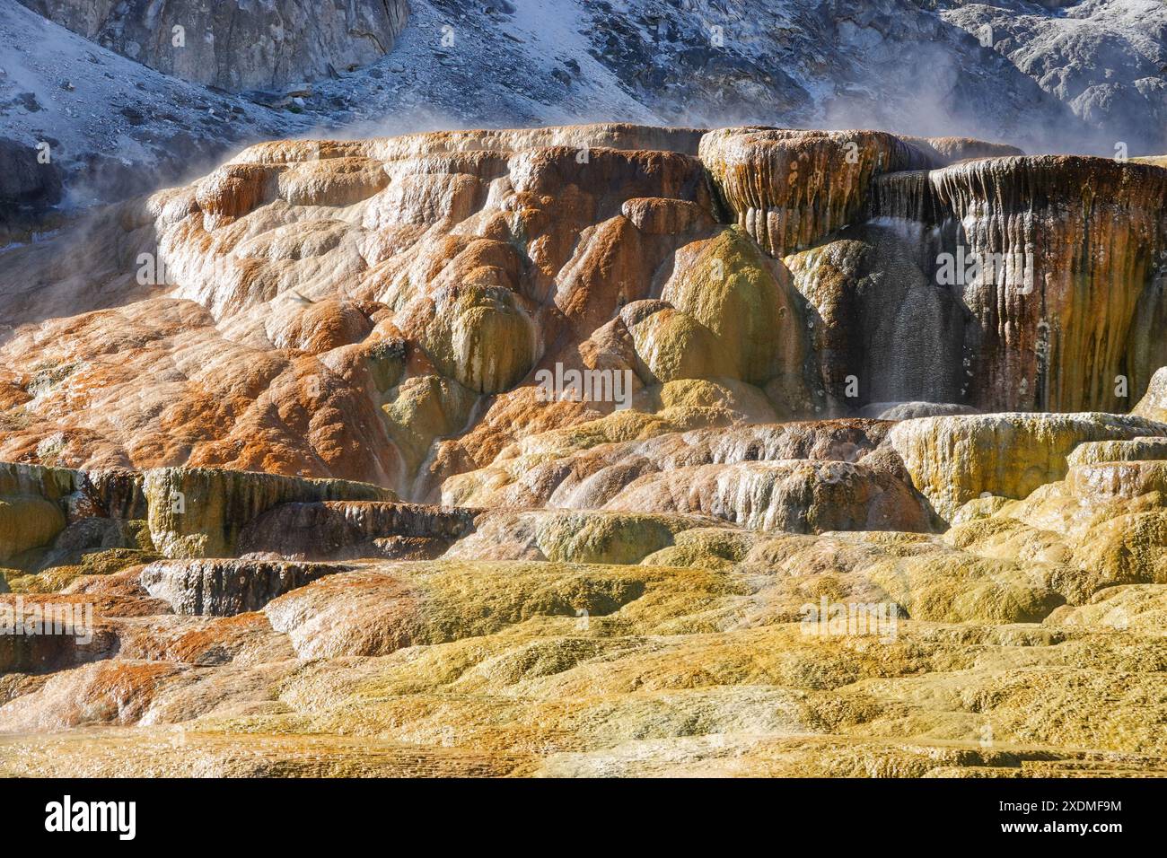 Mammoth hot springs travertine terraces. Yellowstone National Park , Wyoming , USA Stock Photo ...