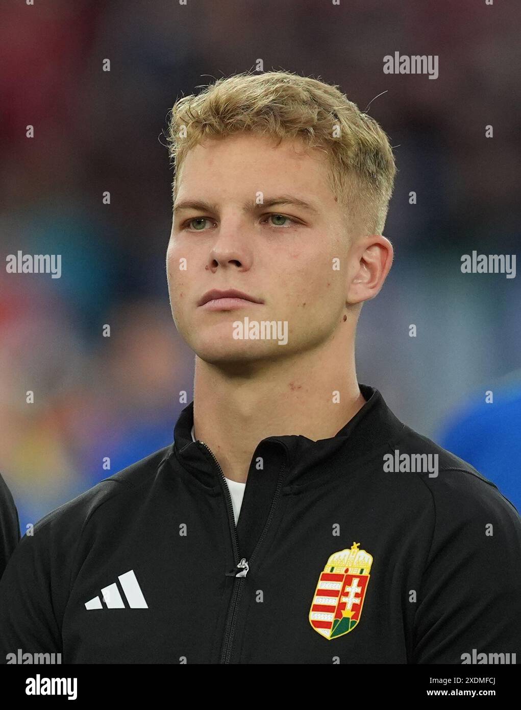 Scotland hungary euro 2024 schäfer hi-res stock photography and images ...