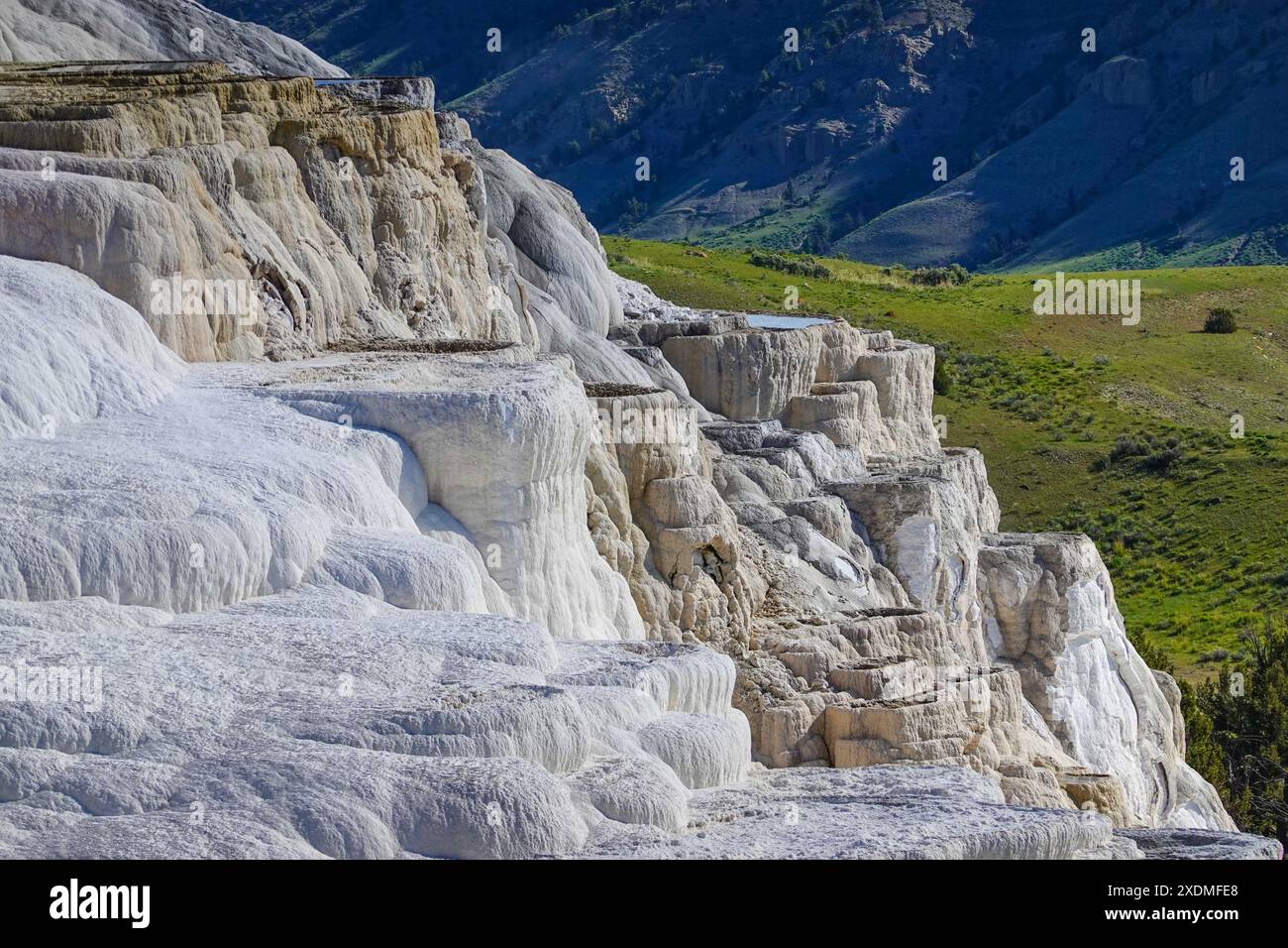 Mammoth hot springs travertine terraces. Yellowstone National Park , Wyoming , USA Stock Photo ...
