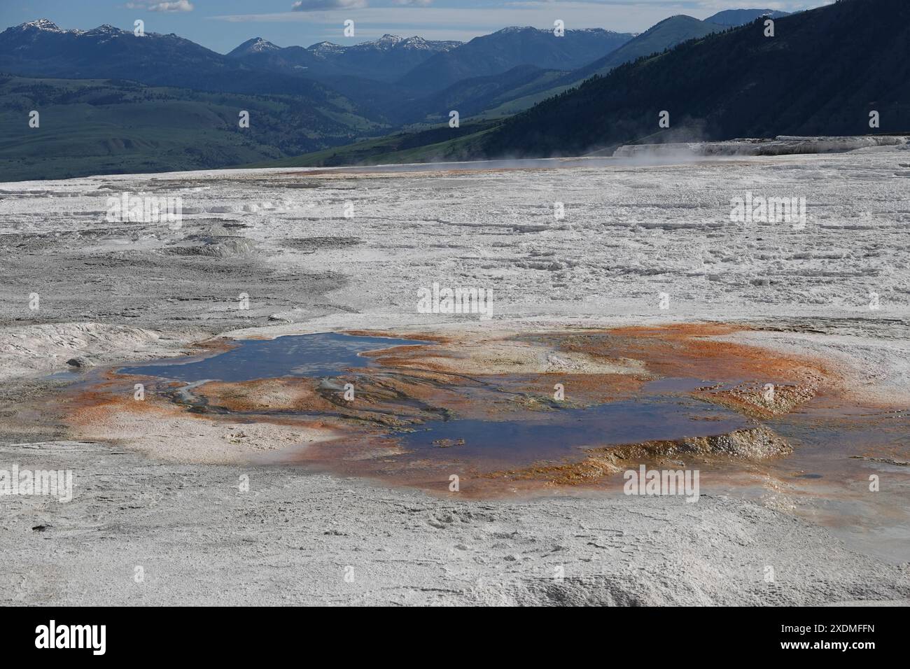 Mammoth hot springs travertine terraces. Yellowstone National Park , Wyoming , USA Stock Photo ...
