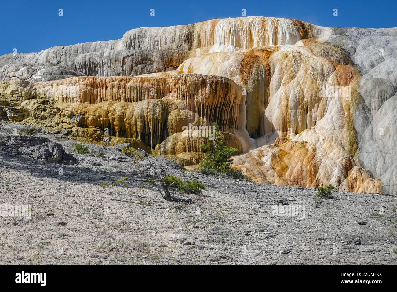 Mammoth hot springs travertine terraces. Yellowstone National Park , Wyoming , USA Stock Photo ...