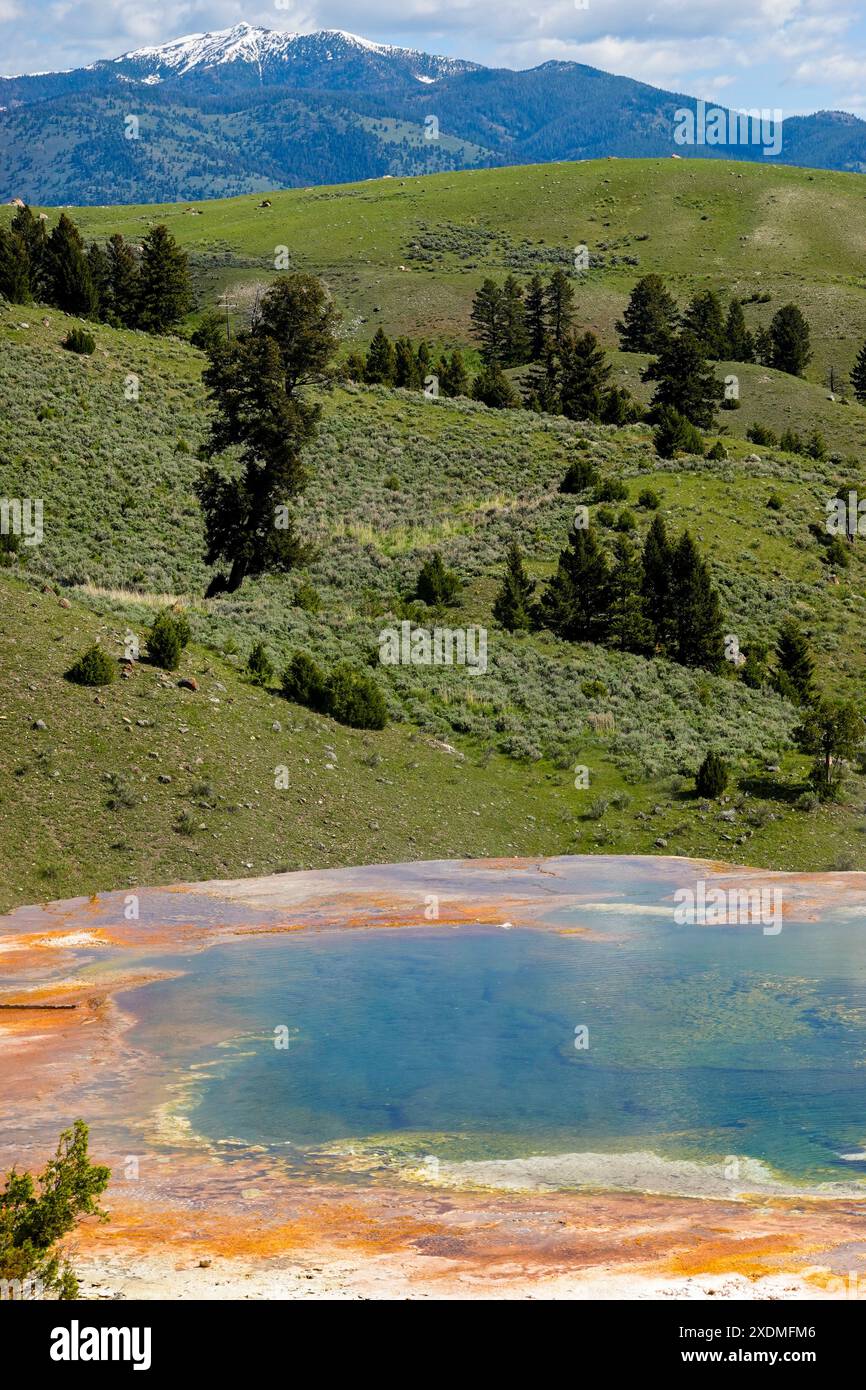 Travertine terraces yellowstone hi-res stock photography and images - Alamy