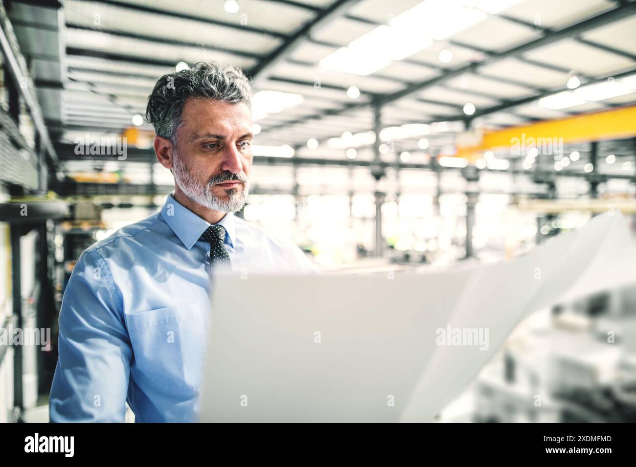 Portrait of project manager reading blueprint modern industrial factory ...