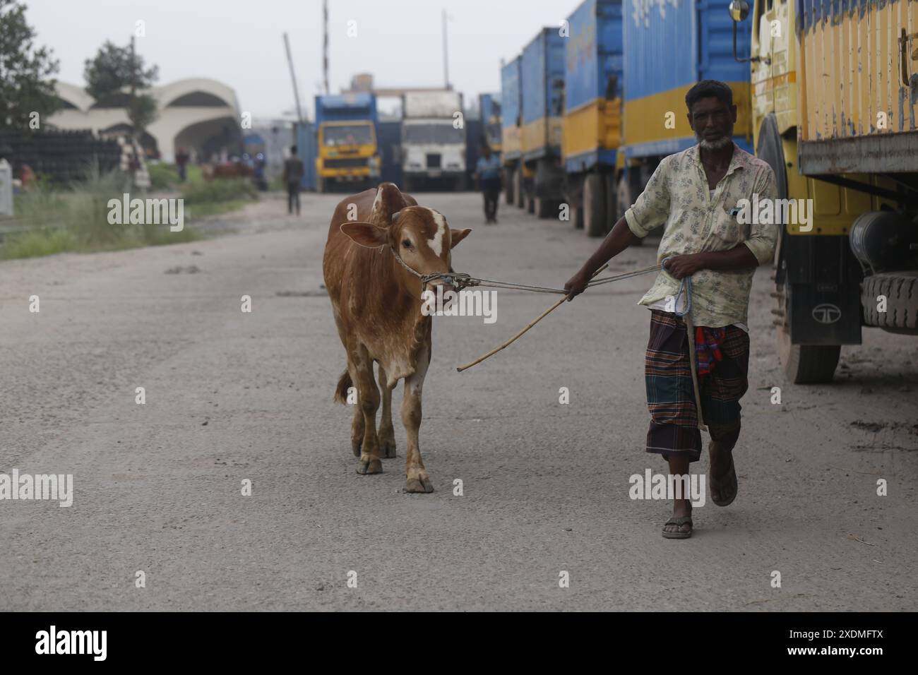 Traders are leading sacrificial livestock at a railway station to sell at a cattle market ahead ...