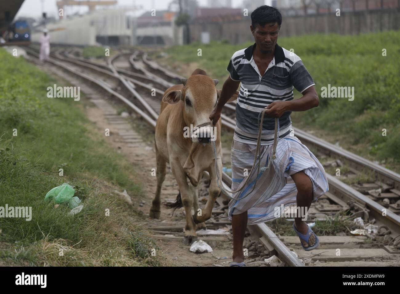 Bangladesh cow market hi-res stock photography and images - Alamy
