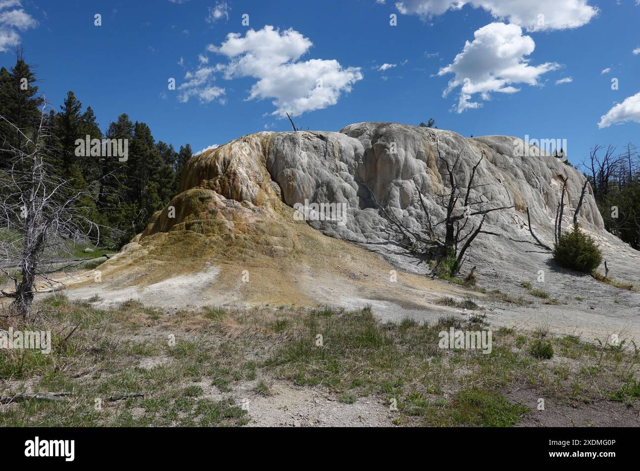 Mammoth hot springs travertine terraces. Yellowstone National Park ...