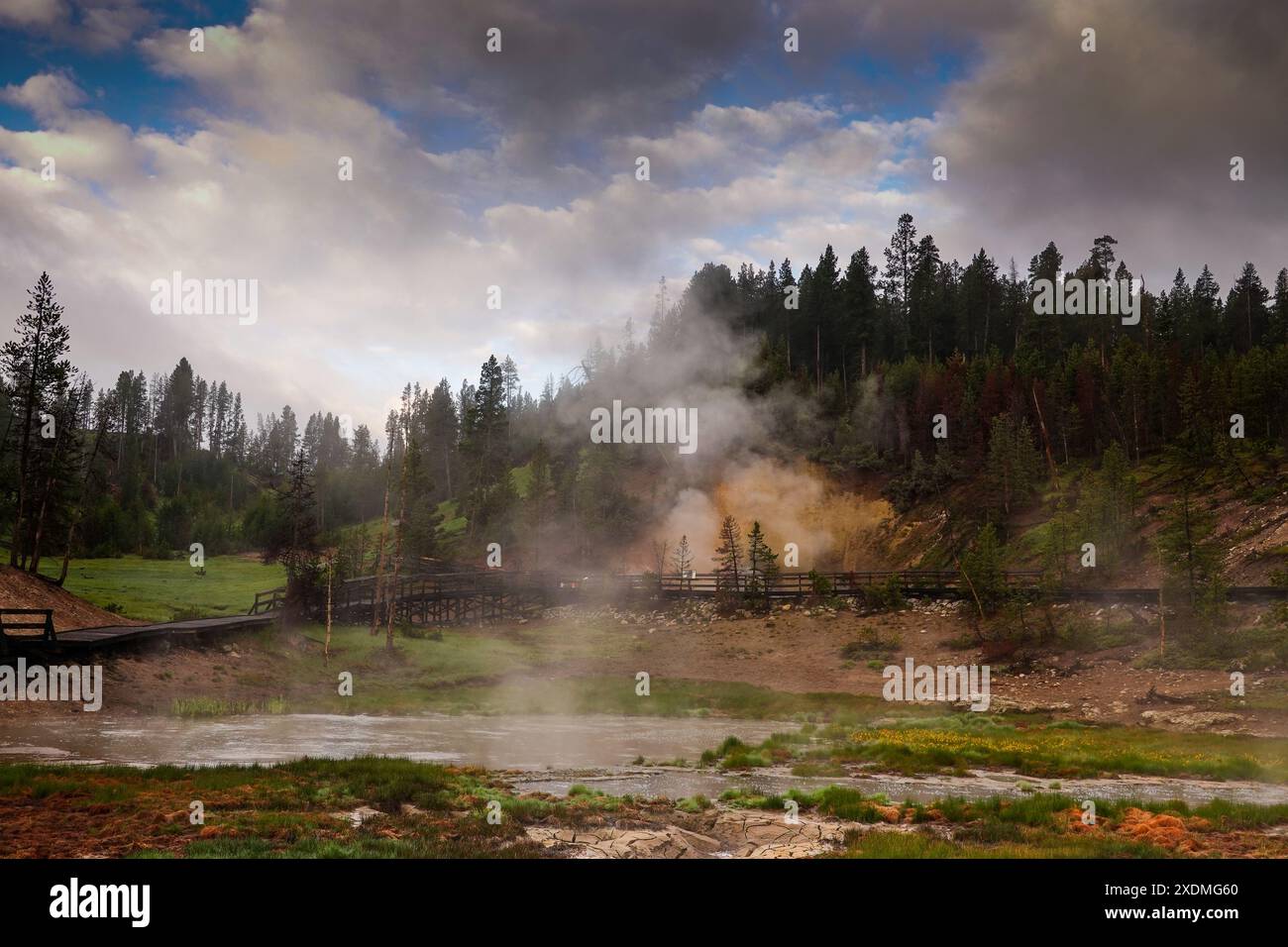 The boardwalk around the Mud Volcano area in the Yellowstone Caldera of ...