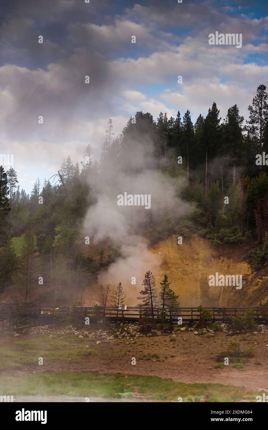 The boardwalk around the Mud Volcano area in the Yellowstone Caldera of ...