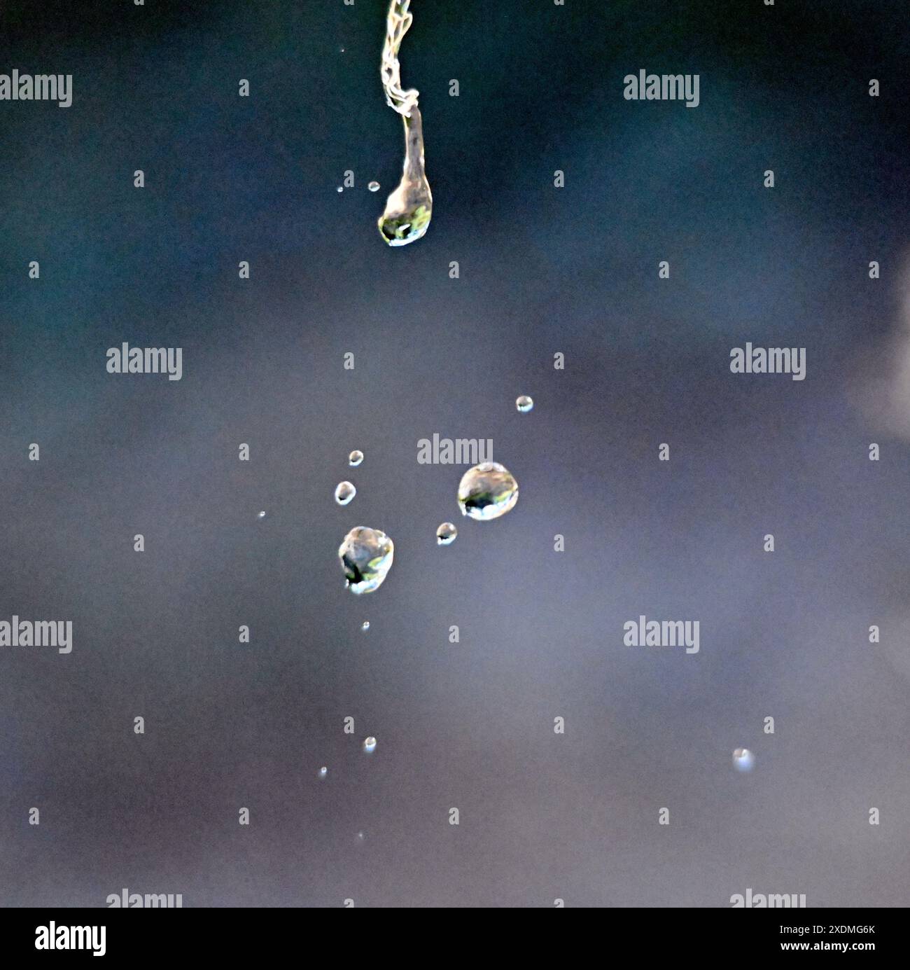 waterdrops falling from the green leaf Stock Photo - Alamy