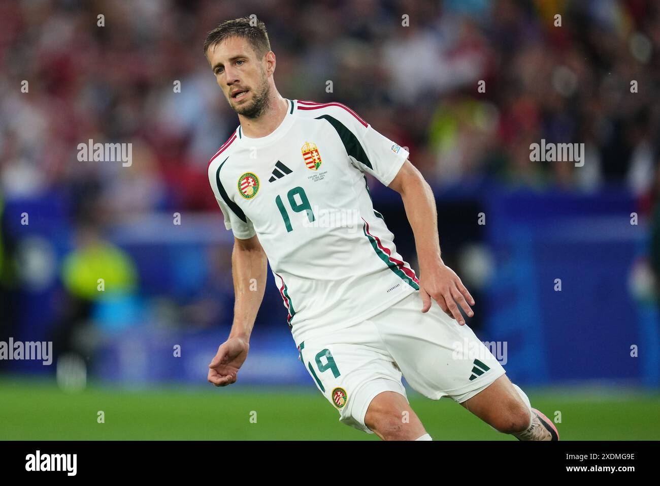 Varga barnabas hungary 2023 hi-res stock photography and images - Alamy