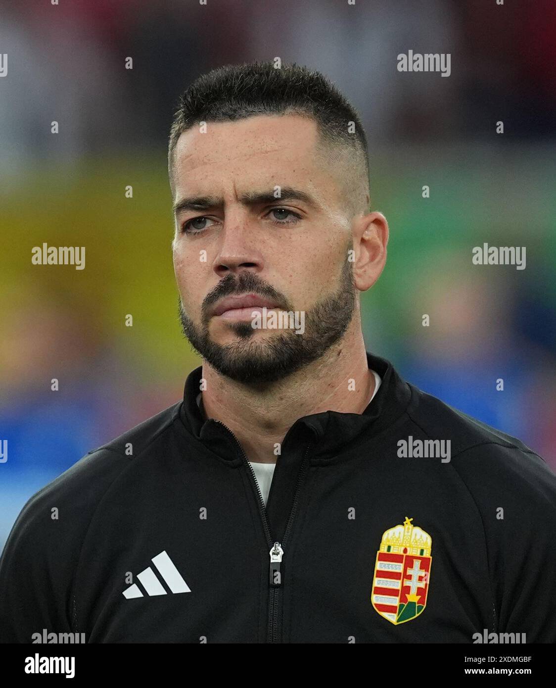 Hungary's Endre Botka during the UEFA Euro 2024 Group A match at the ...