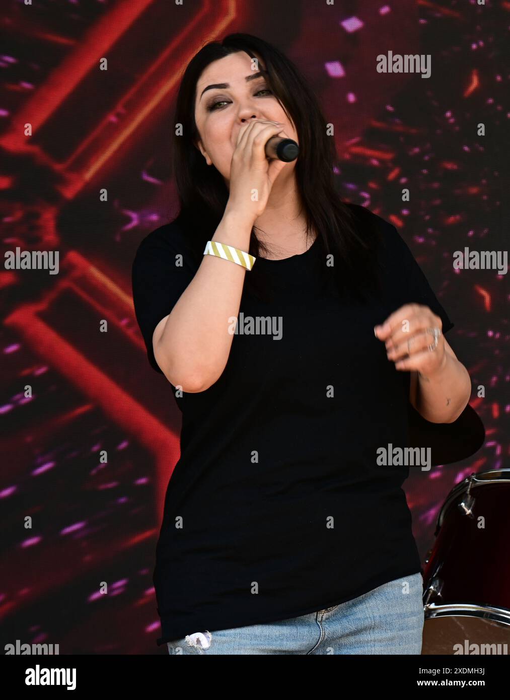 LONDON, UK. 23rd June, 2024. Ghezaal Enayat performs at The Afghan community holds an annual ...