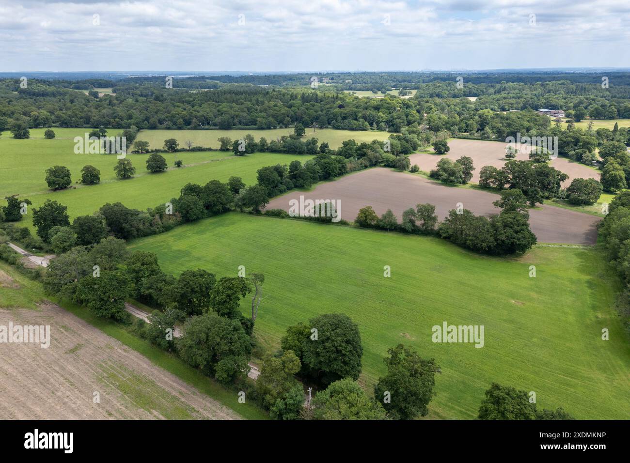 Gernal aerial view of fields in Sunninghill Park, Berkshire, UK Stock ...