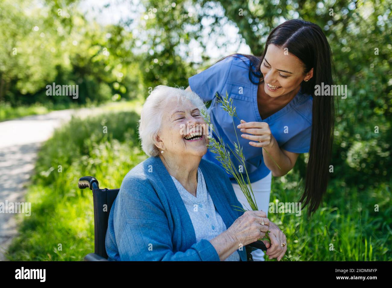 Female caregiver and senior woman in wheelchair picking wild flowers ...