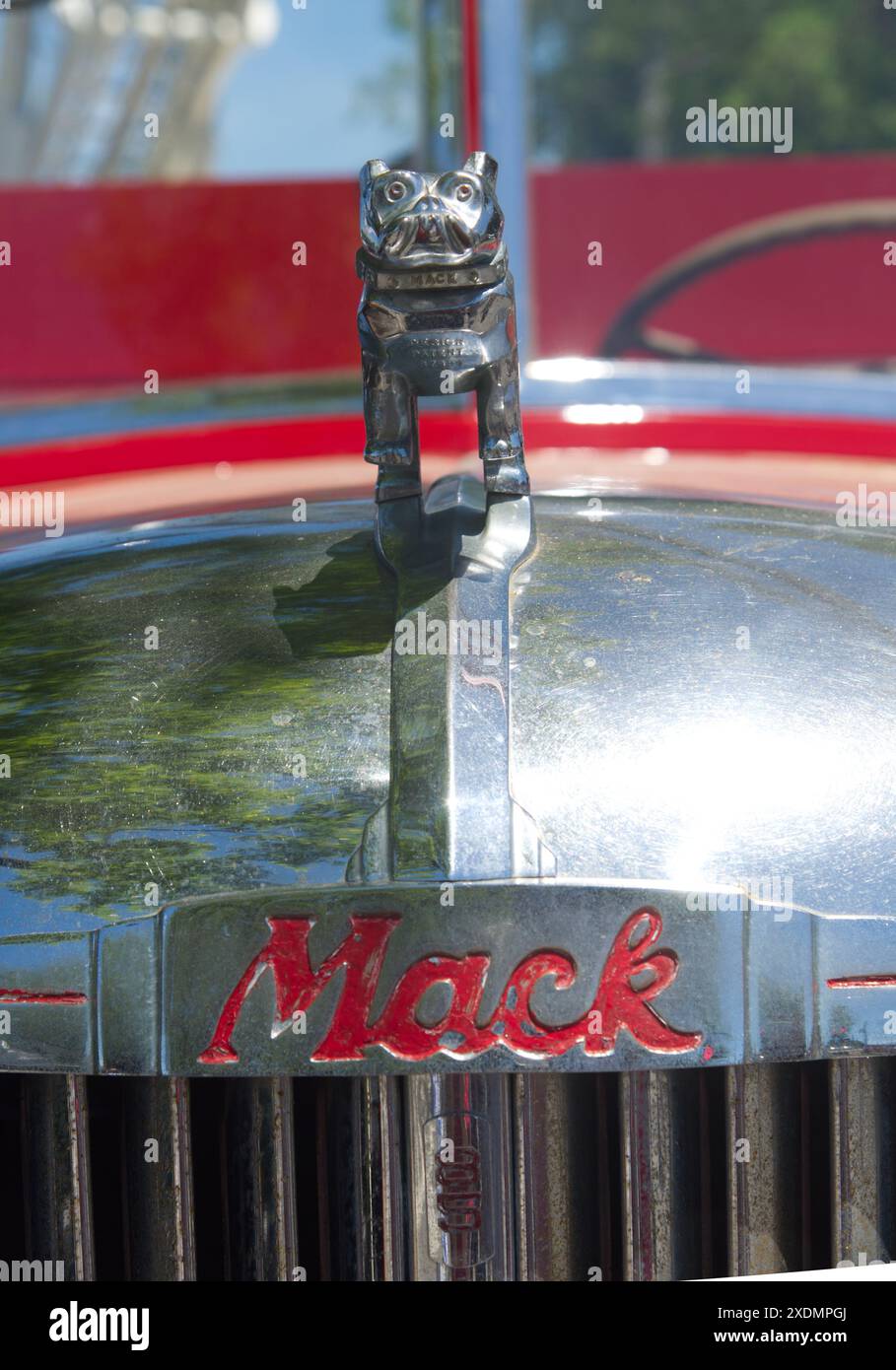 The famous "Mack" Bulldog adorns the hood of a 1950 Mack Fire Engine ...
