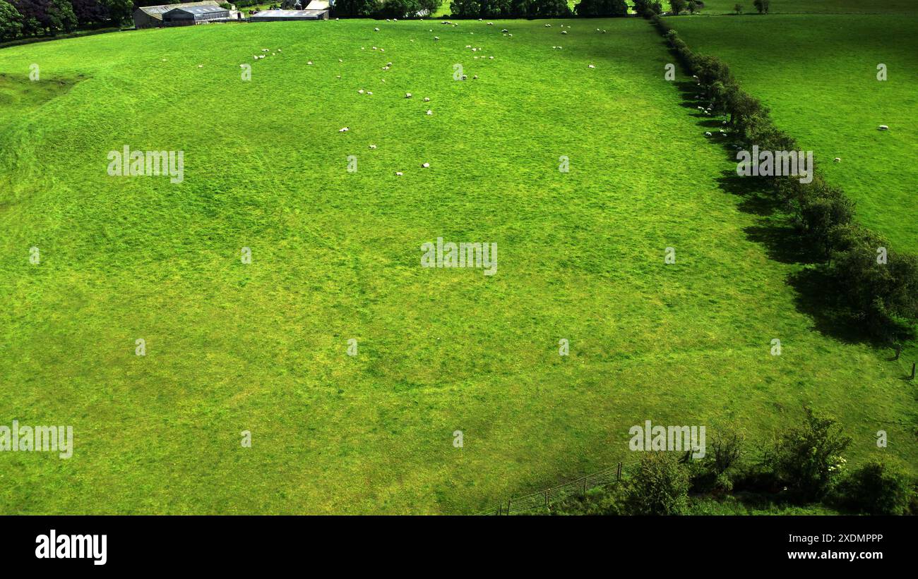 Aerial Photograph of Burwen Castle Roman Fort which is a registered ...
